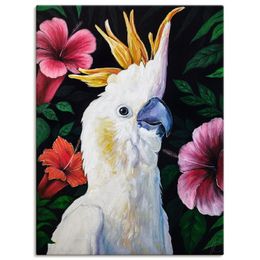 Artland Wandbild &raquo;Coco Paradiso&laquo; Vogelbilder 1 Stk. tlg. als Alubild, Leinwandbild, Poster, Wandaufkleber in verschied. Gr&ouml;&szlig;en bunt Leinwand B/H/T: 30cm x 