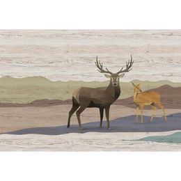 Livingwalls living walls Fototapete &raquo;Walls by Patel Yukon&laquo; glatt Vlies, Wand braun Vlies B/L: 4m x 2,7m