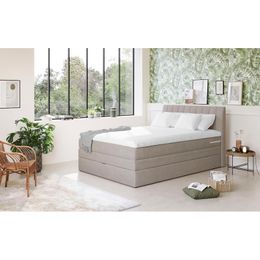 COTTA Boxspringbett &raquo;Shark inkl. Bettkasten und Topper&laquo; erh&auml;ltlich in den Breiten 140x200cm, 160x200cm und 180x200cm beige 100% POLYESTER (PES) 