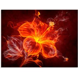 Artland Glasbild &raquo;Feuerblume&laquo; Blumen 1 Stk. tlg. in verschiedenen Gr&ouml;&szlig;en rot B/H/T: 60cm x 45cm, Glasbild Blumen, 1 Stk.