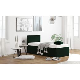 Westfalia Schlafkomfort Polsterbett mit Bettkasten bei Ausf&uuml;hrung mit Matratze gr&uuml;n Liegefl&auml;che L&auml;nge B: 200cm x 120cm, Samtvelours, H&ouml;he Liegefl&auml;che: 55,00, Bonnell-