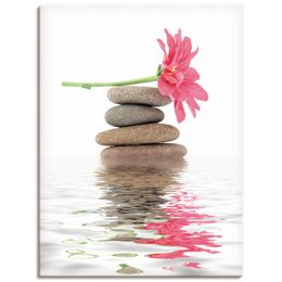 Artland Wandbild &raquo;Zen Spa Steine mit Blumen I&laquo; Zen 1 Stk. tlg. als Leinwandbild, Poster in verschied. Gr&ouml;&szlig;en pink Leinwand B/H/T: 60cm x 80cm, Leinwandbild 