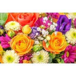 papermoon Fototapete &raquo;Chrysanthemenrosen&laquo; bunt Vlies B/L: 3m x 2,23m, Bahnen: 6 Stk.