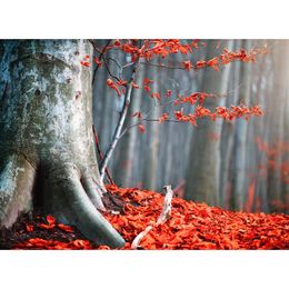 papermoon Fototapete &raquo;Old Autumn Tree&laquo; glatt bunt Vlies B/L: 4m x 2,6m, Bahnen: 8 Stk.
