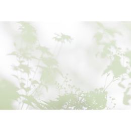 Livingwalls living walls Fototapete &raquo;Walls by Patel Shadow Room&laquo; glatt Vlies, Wand gr&uuml;n Vlies B/L: 4m x 2,7m