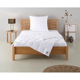 OTTO home Daunenbettdecke + Kopfkissen &raquo;Lodiken, Bettdecke 135x200 cm, 155x220 cm, Decke Made in Germany&laquo; Set mit Kissen 40x80 cm, 80x80 cm, Fr&uuml;hling,