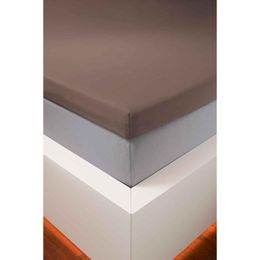 bellana Spannbettlaken &raquo;bellana deluxe f&uuml;r Topper, mit Elasthan, Premium Jersey 230 g/m&sup2;&laquo; mit 5% Elasthan, f&uuml;r Topper mit 4-10cm H&ouml;he, b&uuml;gelfrei, 