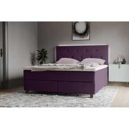Home Affaire Boxspringbett &raquo;Alenika&laquo; mit LED - Beleuchtung, mit Taschen-Federkernmatratze lila 100% Polyester Struktur PUR-Schaum-Topper RGB-LED-