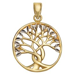 Firetti Damen Kettenanh&auml;nger &raquo;Schmuck Geschenk Gold 375 Halsschmuck Anh&auml;nger Lebensbaum&laquo; gold Gelbgold 375, 1,1 g