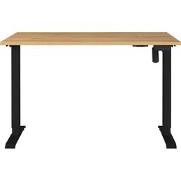 Germania Schreibtisch &raquo;Profi 3.0&laquo; elektrisch h&ouml;henverstellbar, in verschiedenen Breiten, Made in Germany schwarz B/H/T: 120cm x 119cm x 80cm