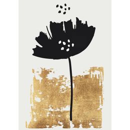 Livingwalls living walls Fototapete &raquo;ARTist Black Poppy&laquo; Vlies, Wand, Schr&auml;ge schwarz-wei&szlig; Vlies B/L: 2m x 2,8m
