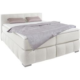 Home Affaire Boxspringbett &raquo;Chelles&laquo; inkl. Topper,, in XXL- &Uuml;berl&auml;nge 220 cm, Unterbox mit feine W&ouml;lbung beige Samtoptik (100% Polyester);Bezug der 