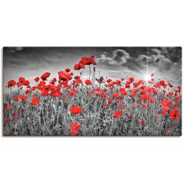 Artland Wandbild &raquo;Idyllisches Mohnblumenfeld mit Sonne&laquo; Blumen 1 Stk. tlg. als Alubild, Leinwandbild, Poster in verschied. Gr&ouml;&szlig;en schwarz B/H/T: 60cm x 30cm, 