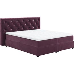 COTTA Boxspringbett &raquo;Castle&laquo; mit Strasssteinen im Kopfteil, inkl. Topper lila 100% Polyester (PES) Velour VELVET, Liegefl&auml;che B/L: 140cm x 200cm, 