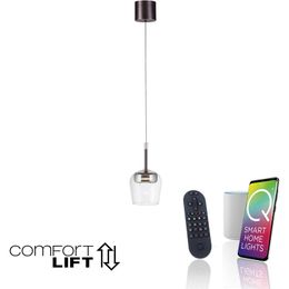Neuhaus Q SMART HOME LIGHTS LED Pendelleuchte &raquo;Q-KON&laquo; LED-Board 1 Stk. warmwei&szlig; - kaltwei&szlig; transparent 1, &Oslash; 21cm, 1 Stk.