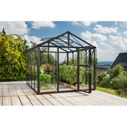Vitavia Gew&auml;chshaus &raquo;Zeus 8100&laquo; schwarz B/H/T: 266cm x 324cm