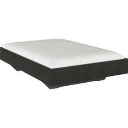 Rauch Futonbett &raquo;Phoenix&laquo; ohne Kopfteil grau Liegefl&auml;che L&auml;nge B: 200cm x 140cm, H&ouml;he Bett: 41cm, ohne Matratze