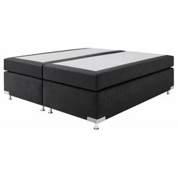 Westfalia Schlafkomfort Boxspringbett &raquo;Holland&laquo; ohne Kopfteil, frei im Raum stellbar schwarz Microvelours (100% Polyester) Microvelours Ohne Topper, Liegefl&auml;che B/L: 180cm x 