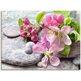 Artland Leinwandbild &raquo;Apfelbl&uuml;ten&laquo; Blumen 1 Stk. tlg. auf Holzrahmen gespannt pink Leinwand B/H/T: 80cm x 60cm, Leinwandbild Blumen Querformat, 1 Stk.