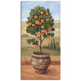 Artland Leinwandbild &raquo;Orangenbaum&laquo; B&auml;ume 1 Stk. tlg. auf Holzrahmen gespannt gr&uuml;n Leinwand B/H/T: 30cm x 60cm, Leinwandbild B&auml;ume Hochformat, 1 Stk.