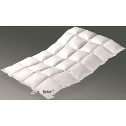fj&ouml;dur fj&ouml;dur Daunenbettdecke &raquo;Fabiennes Royal&laquo; warm F&uuml;llung 50% Daunen & 50% Federn 1 Stk. tlg. In verschiedenen Gr&ouml;&szlig;en erh&auml;ltlich. wei&szlig; Bezug: 100% 