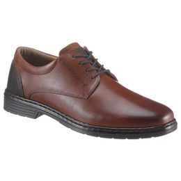 Josef Seibel Herren Schn&uuml;rschuh &raquo;Alastair&laquo; im leichten Used-Look, Freizeitschuh, Halbschuh, Schn&uuml;rschuh braun 48