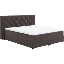 COTTA Boxspringbett &raquo;Castle&laquo; mit Strasssteinen im Kopfteil, inkl. Topper grau 100% Polyester (PES) Velour VELVET, Liegefl&auml;che B/L: 160cm x 200cm, 