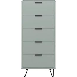 M&auml;usbacher Kommode &raquo;Bonnie&laquo; Kommode mit Drahtgestell gr&uuml;n Holzwerkstoff B/H/T: 51cm x 121cm x 45cm, 5 Stk.