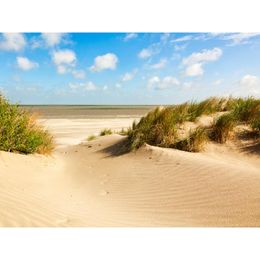 papermoon Fototapete &raquo;Dunes Knokke-Heist&laquo; glatt bunt Vlies B/L: 2m x 1,49m, Bahnen: 4 Stk.