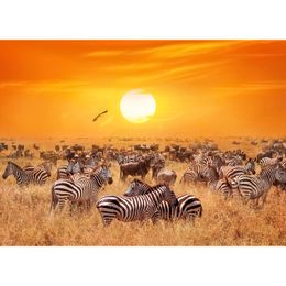 papermoon Fototapete &raquo;African Antelopes and Zebras&laquo; glatt bunt Vlies B/L: 2,5m x 1,86m, Bahnen: 5 Stk.