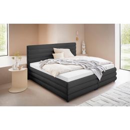 LeGer Home by Lena Gercke Polsterbett &raquo;Maylis&laquo; wahlweise mit und ohne Matratze und Lattenrost, auch in 200cm Breite grau 100% Polyester Liegefl&auml;che 