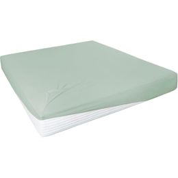 Primera Spannbettlaken &raquo;Elasthan-Feinjersey&laquo; PREMIUM, aus 95% gek&auml;mmter Baumwolle und 5% Elasthan, bis 28 cm H&ouml;he blau Jersey-Elasthan, Obermaterial: 95% 