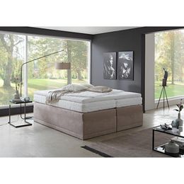 Westfalia Schlafkomfort Boxspringbett &raquo;Ibiza in den Breiten 160x200, 180x200cm & 200x200cm&laquo; beige Microvelours ohne Bettkasten,mit Topper, Liegefl&auml;che B/L: 200cm x 200cm, 