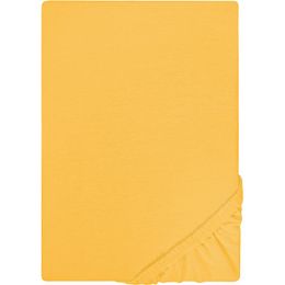 Spannbettlaken &raquo;Jersey in Gr. 90x200, 140x200 oder 180x200 cm&laquo; aus Baumwolle, f&uuml;r Matratzen bis 22 cm H&ouml;he, Bettlaken, Spannbetttuch orange Jersey, 