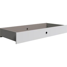 wimex Bettschubkasten &raquo;Bahamas&laquo; Holzwerkstoff B/H/T: 100cm x 16cm x 60cm