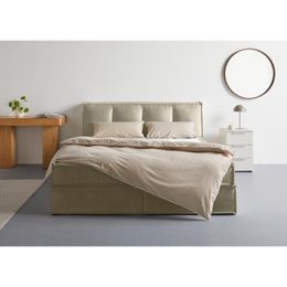 LeGer Home by Lena Gercke Boxspringbett &raquo;Addyson&laquo; H&auml;rtegrade H2, H3 und H4 w&auml;hlbar, Boxspringbett inkl. Topper, 2 Matratzen lila 100% Polyester Velour