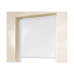 K-home Seitenzugrollo &raquo;Thermo Klemmfix-Rollo&laquo; verdunkelnd energiesparend ohne Bohren 1 St&uuml;ck wei&szlig; Polyester 250cm, 70cm