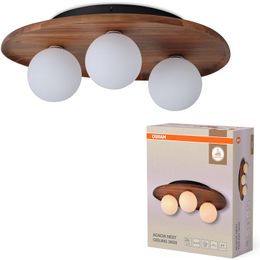 Osram Deckenleuchte &raquo;Decor Acacia-Wood Nest&laquo; G9 1 Stk. braun, Fassung G9 H: 15,5cm, 1 Stk.