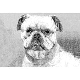 ARCHITECTS PAPER Fototapete &raquo;Bulldog&laquo; Vlies, Wand, Schr&auml;ge schwarz-wei&szlig; Vlies B/L: 4m x 2,7m