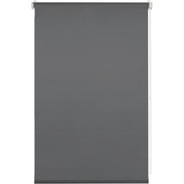 Gardinia Seitenzugrollo &raquo;Uni Klemmrollo&laquo; Lichtschutz Sichtschutz mit Bohren/ohne Bohren freih&auml;ngend Schraubmontage m&ouml;glich grau Polyester 150cm, 