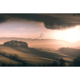 papermoon Fototapete &raquo;Photo-Art MARCUS HENNEN, INTERPLANAR&laquo; bunt Vlies B/L: 4,5m x 2,8m, Bahnen: 9 Stk.