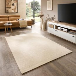 Theko Wollteppich &raquo;Origin Loop Uni&laquo; rechteckig 10 mm H&ouml;he handgetuftet, reine Schurwolle, Unifarben beige Schurwolle B : 40cm 1 Stk., 10mm, L: 60cm