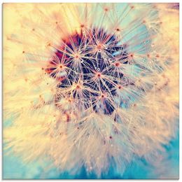 Artland Glasbild &raquo;Pusteblume ganz nah&laquo; Blumen 1 Stk. tlg. in verschiedenen Gr&ouml;&szlig;en blau B/H/T: 50cm x 50cm, Glasbild Blumen quadratisch, 1 Stk.