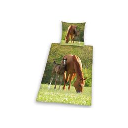 Herding's Young Collection Kinderbettw&auml;sche &raquo;Pferd mit Fohlen&laquo; 2 Stk. f&uuml;r Pferdefreunde gr&uuml;n Linon, Obermaterial: 100% Baumwolle B/L: 135cm x 200cm, 1 Stk., 1 Stk., Linon, B/L: 
