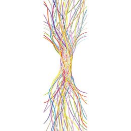 ARCHITECTS PAPER Fototapete &raquo;Cable Tangle White&laquo; Grafik Tapete Natur Fototapete Grafisch Panel Wei&szlig; Bunt 1,00m x 2,80m bunt Vlies B/L: 1m x 2,8m