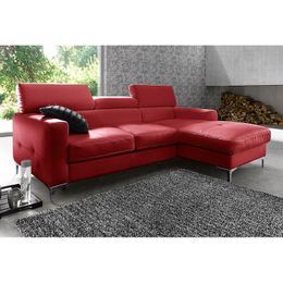 COTTA Ecksofa &raquo;Sammy L-Form&laquo; mit Kopfteilverstellung, wahlweise mit Schlaffunktion rot Microfaser PRIMABELLE (100% Polyester);NaturLEDER in Sitz und 