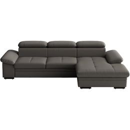 Sit & More sit&more Ecksofa &raquo;Viola, Leder, L-Form, B: 260 cm, mit Armteil- und Kopfteilvertsellung&laquo; optional mit Schlaffunktion grau B/H/T: 260cm x 73cm x 174cm,