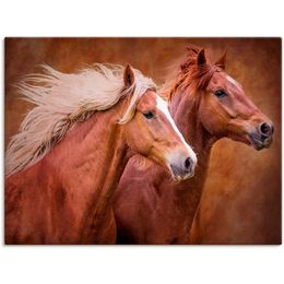 Artland Leinwandbild &raquo;Reinrassige Pferde I&laquo; Haustiere 1 Stk. tlg. auf Holzrahmen gespannt braun Leinwand B/H/T: 40cm x 30cm, Leinwandbild Haustiere Querformat