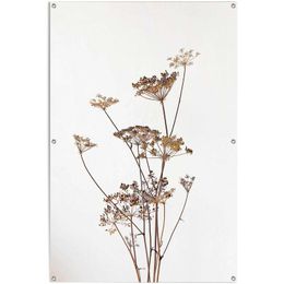 Reinders Poster &raquo;B&auml;renklau&laquo; leichtes und wasserfestes Gartenposter f&uuml;r den Au&szlig;eneinsatz beige Leinwand B/H/T: 80cm x 120cm x 0,1cm