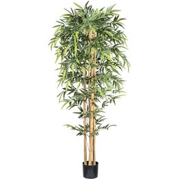Creativ green Kunstbaum &raquo;Bambus&laquo; mit echten Bambusst&auml;ben gr&uuml;n B/H/L: 210cm, 1 Stk.